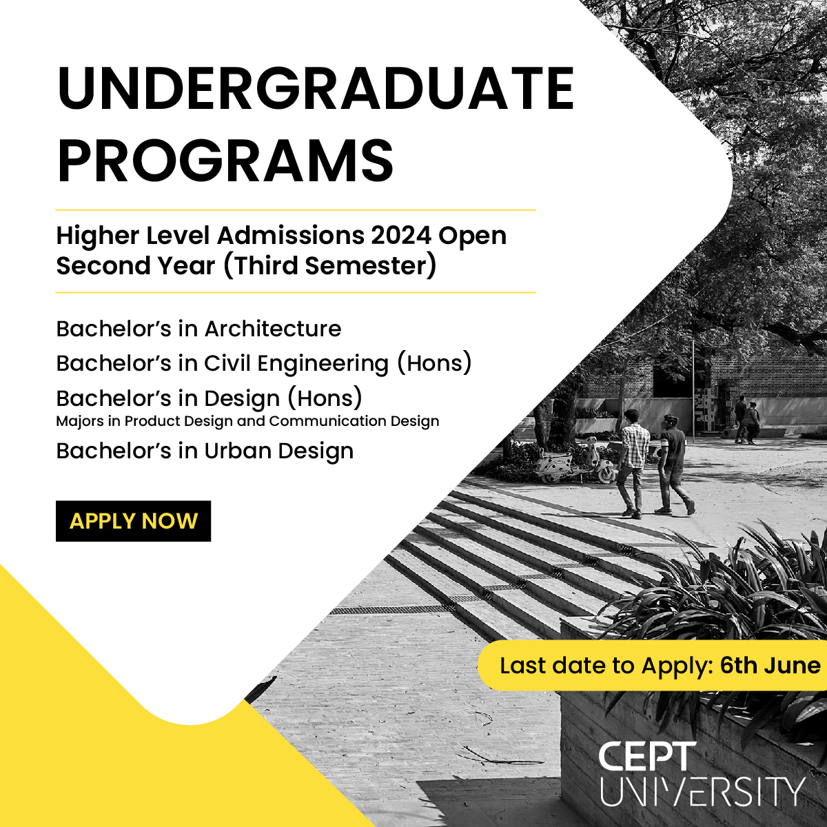 Undergraduate Programs Higher Level Admissions 2024 Are Open Second